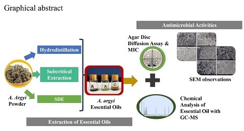 Molecules | Free Full-Text | Chemical Composition and Antimicrobial ...