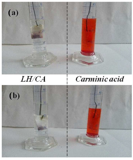 Carminic Acid Stabilized with Aluminum-Magnesium Hydroxycarbonate as ...