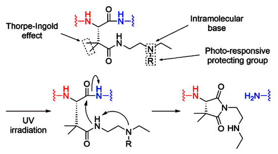 Fast Amide Bond Cleavage Assisted by a Secondary Amino and a Carboxyl ...
