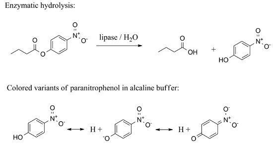 Biosensors and Bioassays Based on Lipases, Principles and Applications ...