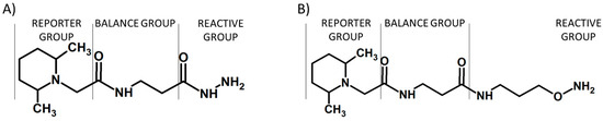 Trends in the Design of New Isobaric Labeling Reagents for Quantitative ...