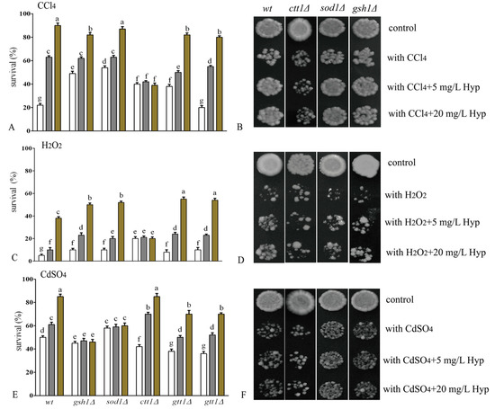Antioxidant Activity Evaluation of Dietary Flavonoid Hyperoside Using ...