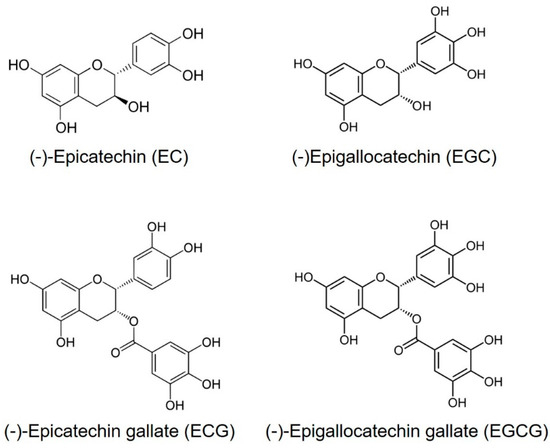 Antimicrobial Activities of Tea Polyphenol on Phytopathogens: A Review
