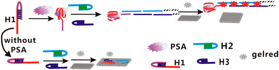 A Non-Enzymatic and Label-Free Fluorescence Bioassay for Ultrasensitive ...