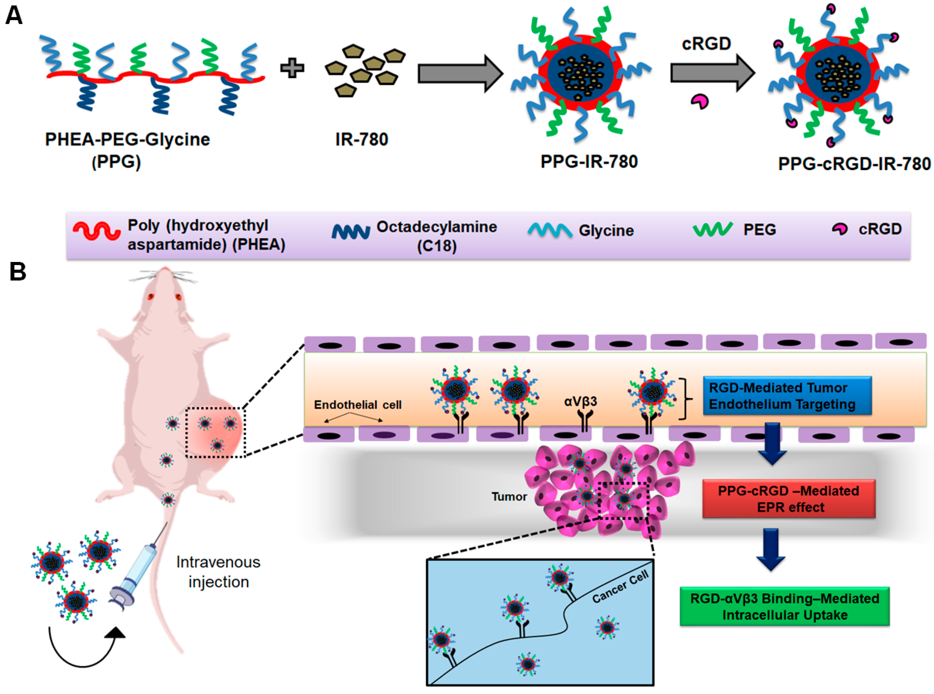 Design of an Amphiphilic Poly(aspartamide)-Mediated Self-Assembled ...