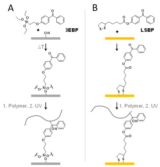 Surface Structuring Combined with Chemical Surface Functionalization ...