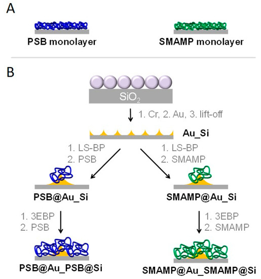 Surface Structuring Combined with Chemical Surface Functionalization ...