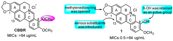 Evolution and Antibacterial Evaluation of 8-Hydroxy-cycloberberine ...