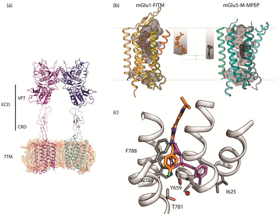 Computational Drug Design Applied to the Study of Metabotropic ...