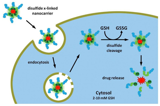 Endogenous and Exogenous Stimuli-Responsive Drug Delivery Systems for ...