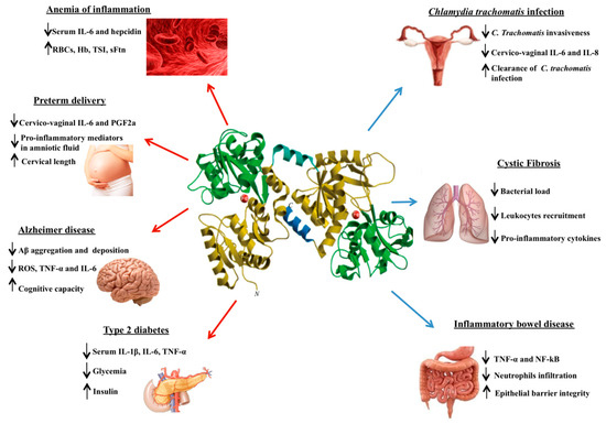 Lactoferrin in Aseptic and Septic Inflammation