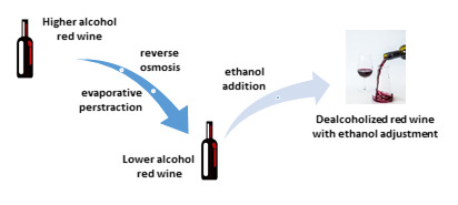 Molecules | Free Full-Text | Compositional Consequences of Partial ...