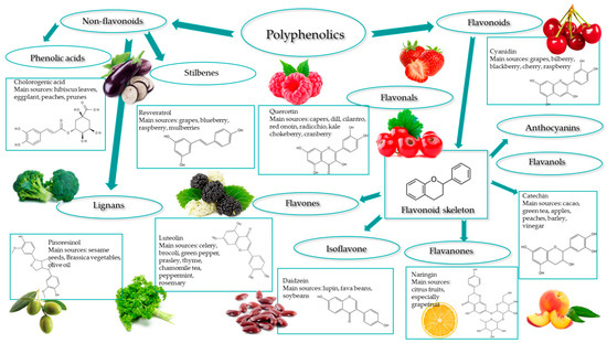 Molecules | Special Issue : Natural Products Used as Foods and Food ...