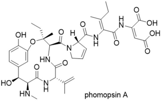 Recent Advances in the Discovery and Biosynthetic Study of Eukaryotic ...