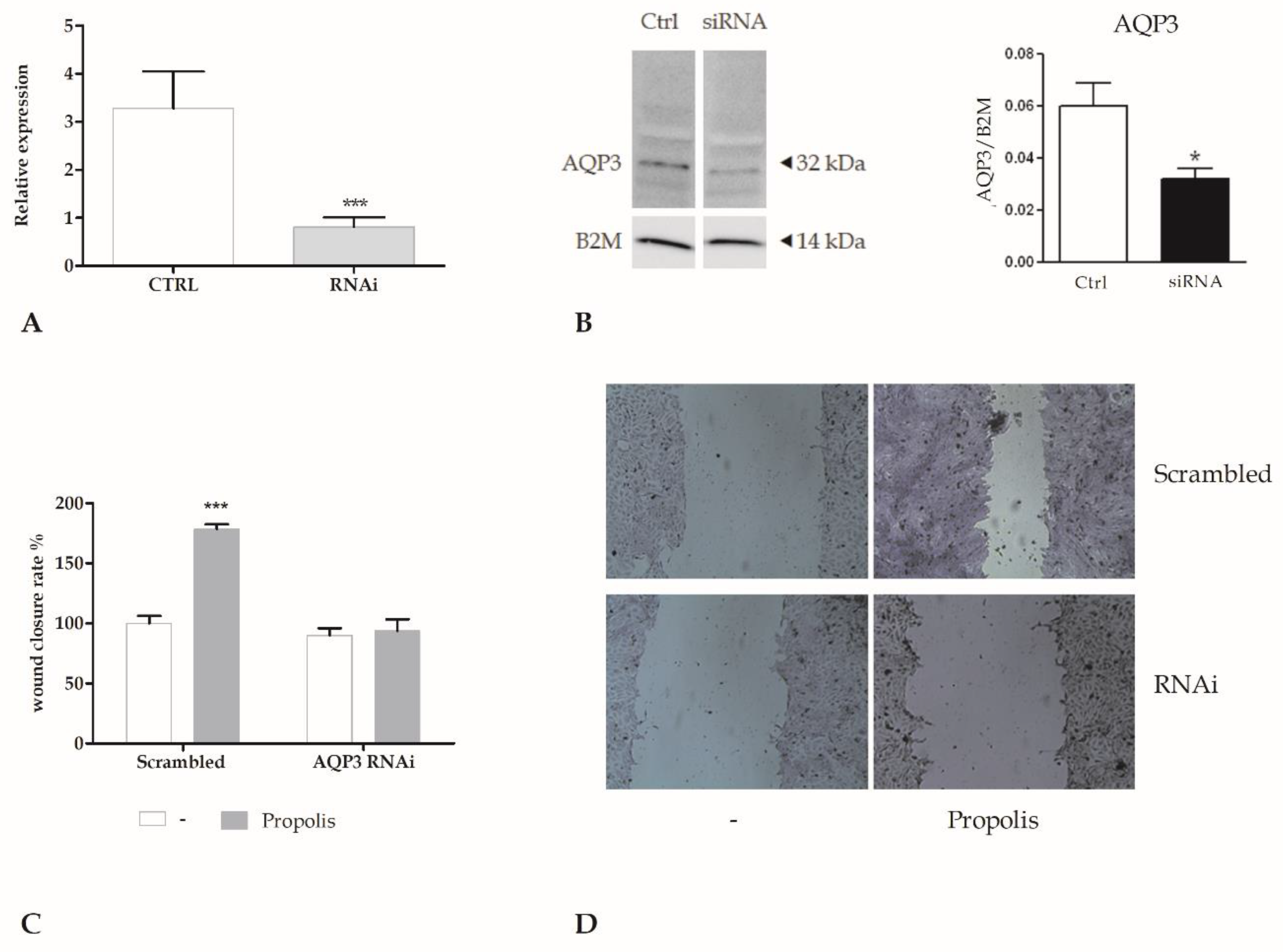 Propolis Induces AQP3 Expression: A Possible Way of Action in Wound Healing