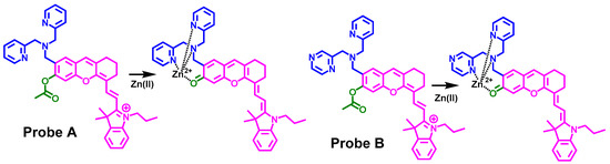 Detecting Zn(II) Ions in Live Cells with Near-Infrared Fluorescent Probes