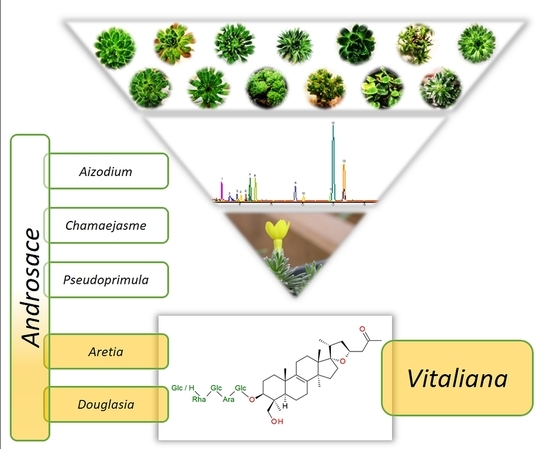 Molecules | Special Issue : Natural Product Isolation, Identification ...