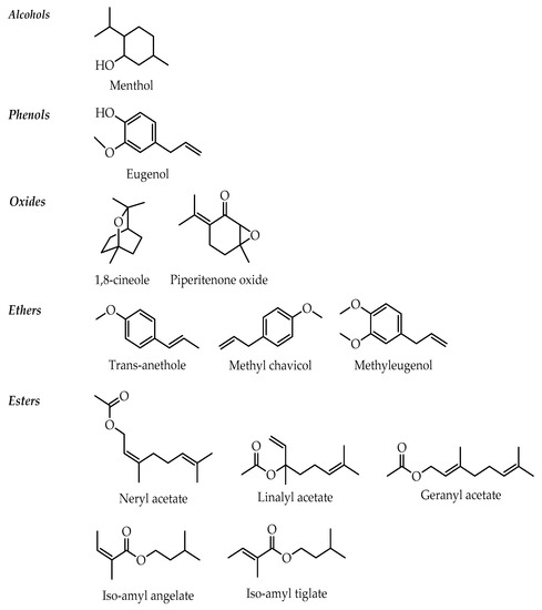 Molecules | Free Full-Text | Antispasmodic Effect of Essential Oils and ...