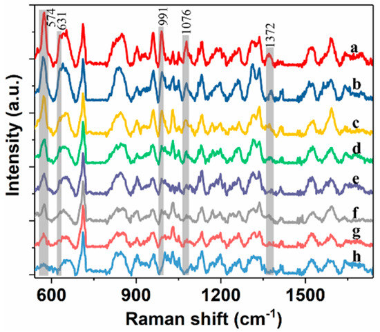 Molecules | Special Issue : Raman Spectroscopy: An Important Technique ...