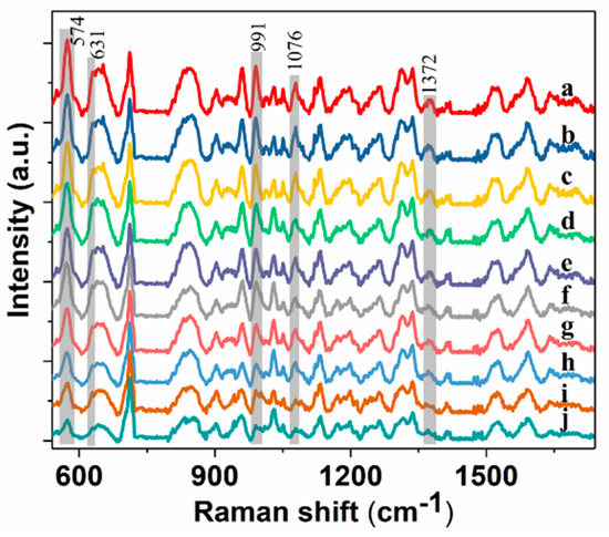 Molecules | Special Issue : Raman Spectroscopy: An Important Technique ...