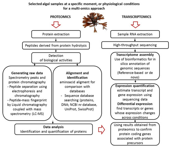 Expasy Compute Pi Mw Program : Protein Identification And Analysis ...
