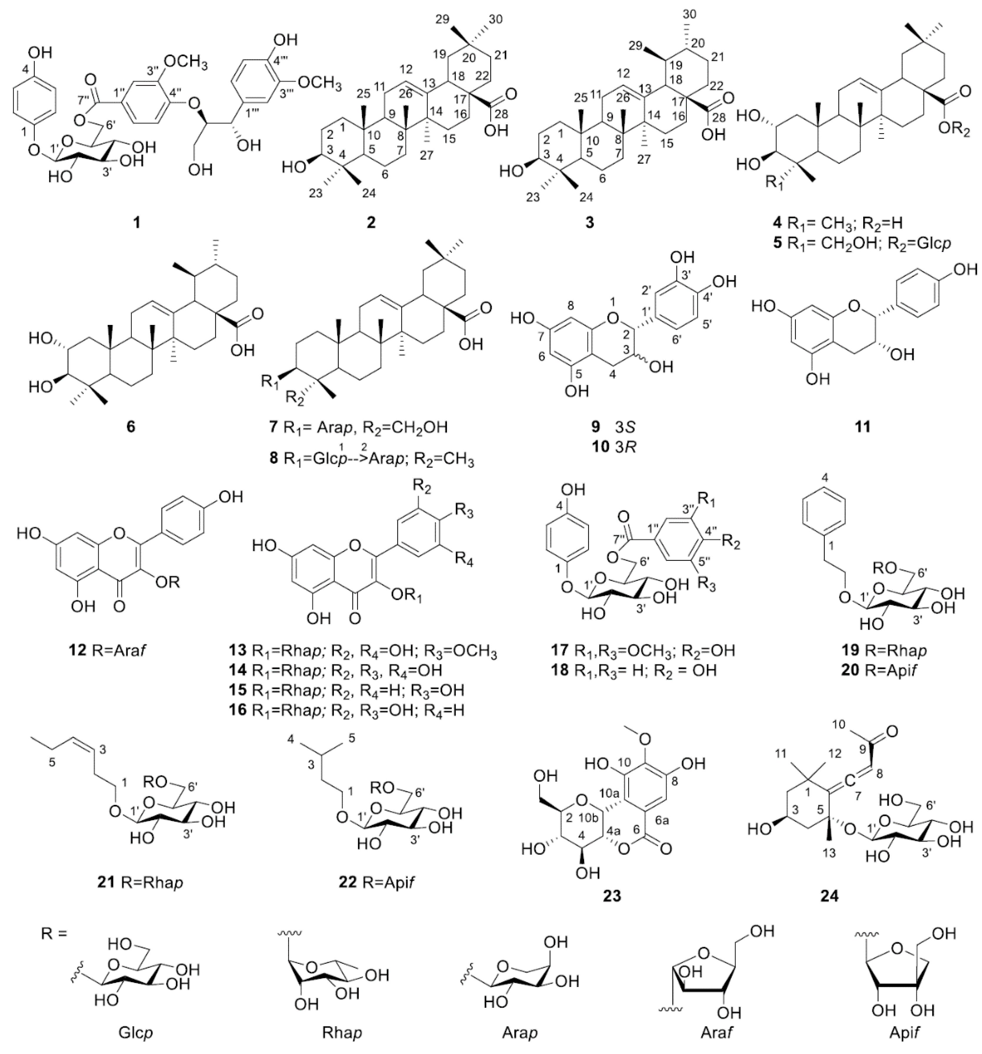 Phytochemical Study of Aerial Parts of Leea asiatica