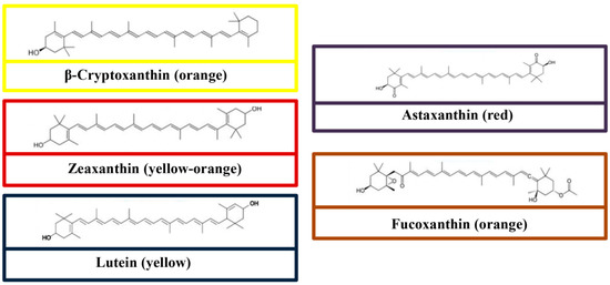 Carotenoids: How Effective Are They to Prevent Age-Related Diseases?
