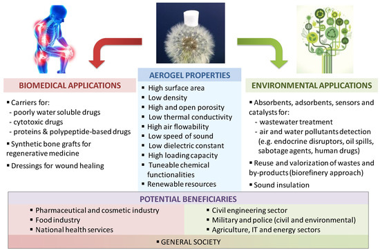 An Opinion Paper on Aerogels for Biomedical and Environmental Applications