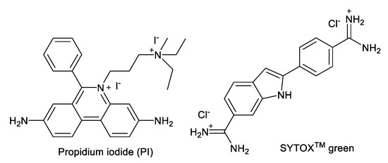 Antifungal Activities of 4″,6″-Disubstituted Amphiphilic Kanamycins