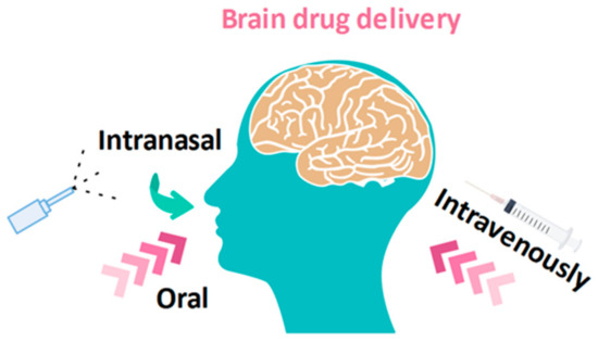 Molecules | Free Full-Text | Chitosan-Based (Nano)Materials for Novel ...