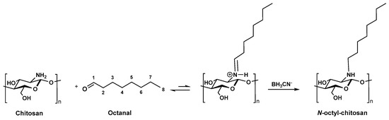 Alkyl-Chitosan-Based Adhesive: Water Resistance Improvement