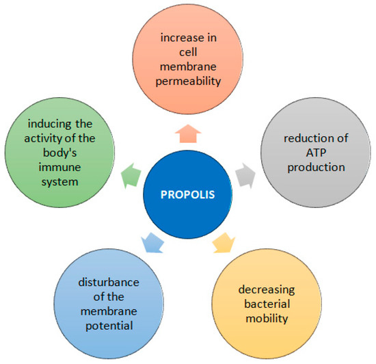 Antibacterial Properties of Propolis