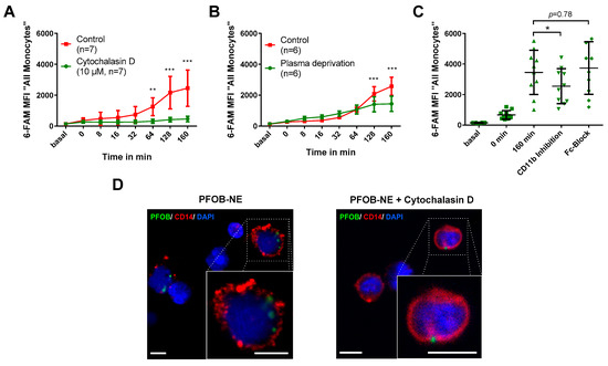 Phagocytosis of a PFOB-Nanoemulsion for 19F Magnetic Resonance Imaging ...