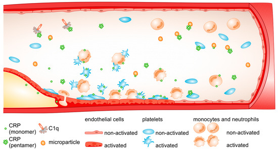 The Multiple Faces of C-Reactive Protein—Physiological and ...