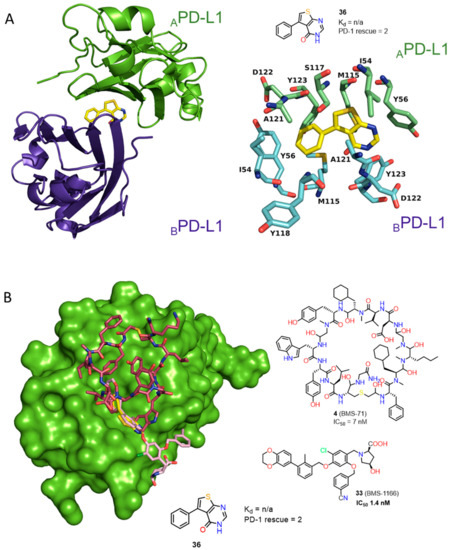 Molecules | Free Full-Text | Development of the Inhibitors That Target ...