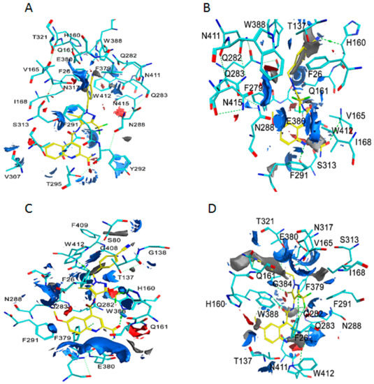 Conformational Studies of Glucose Transporter 1 (GLUT1) as an ...