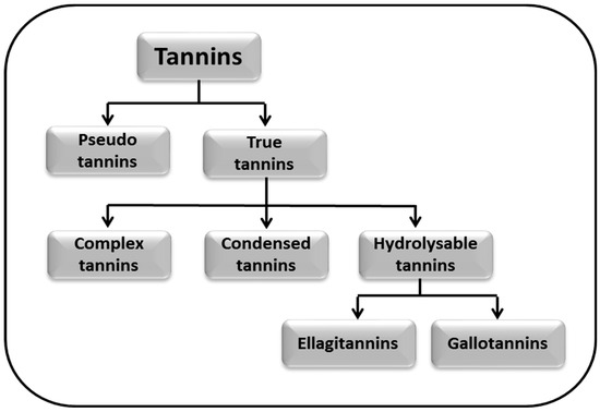 Putative Roles of Plant-Derived Tannins in Neurodegenerative and ...