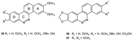 Cinnoline Scaffold—A Molecular Heart of Medicinal Chemistry?
