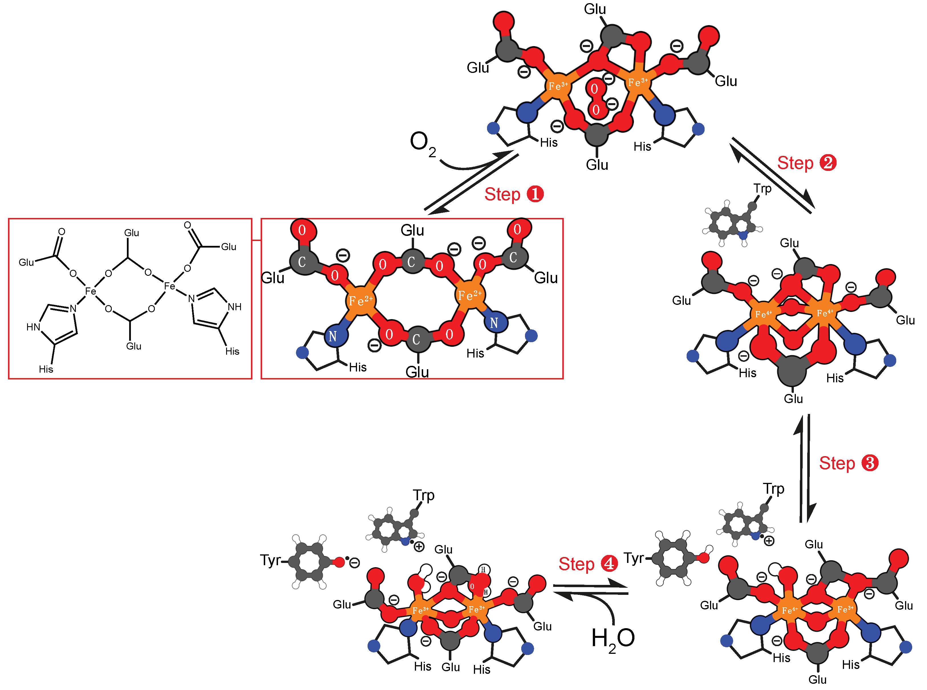 Formation of Unstable and very Reactive Chemical Species Catalyzed by ...