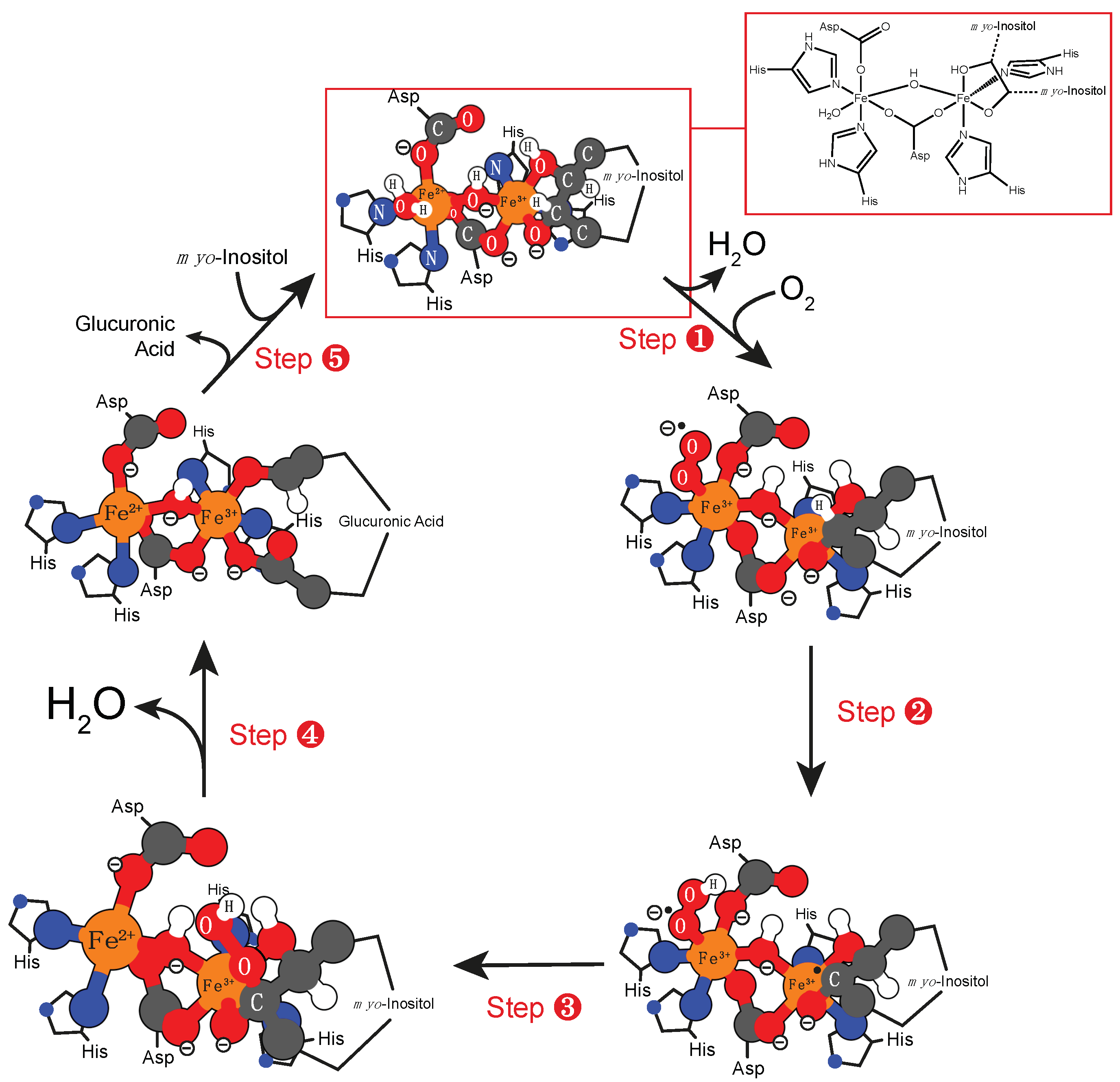 Formation of Unstable and very Reactive Chemical Species Catalyzed by ...