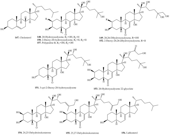 Quinoa Secondary Metabolites and Their Biological Activities or Functions