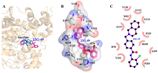 Discovery of New Selective Butyrylcholinesterase (BChE) Inhibitors with ...