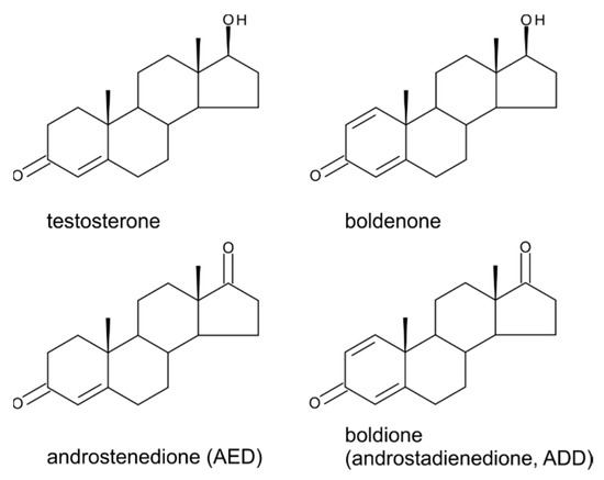 Plants are Capable of Synthesizing Animal Steroid Hormones