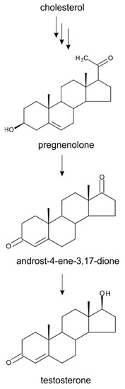 Plants are Capable of Synthesizing Animal Steroid Hormones