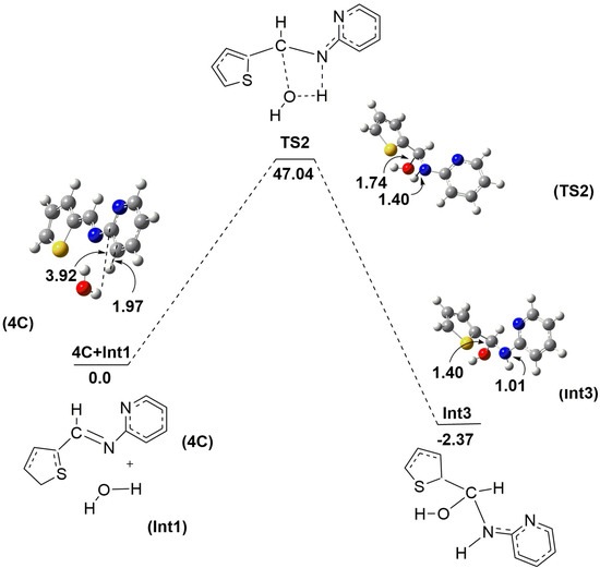 Imine Hydrolysis