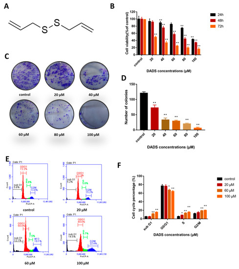 Diallyl Disulfide Induces Apoptosis and Autophagy in Human Osteosarcoma MG-63 Cells through the ...