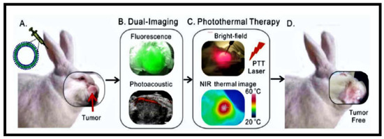 Porphyrin as Diagnostic and Therapeutic Agent