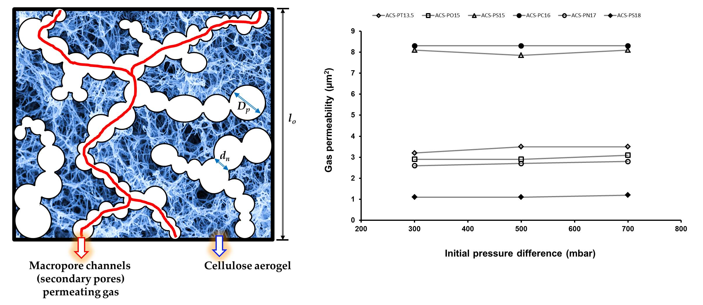 Molecules | Free Full-Text | Gas Permeability of Cellulose Aerogels ...