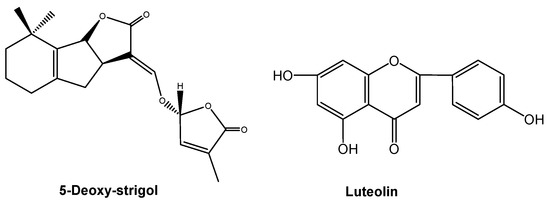 Allelochemicals and Signaling Chemicals in Plants