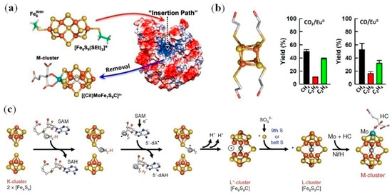 Rational Design of Artificial Metalloproteins and Metalloenzymes with ...